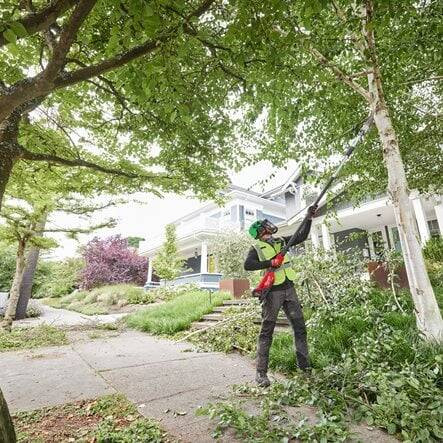 PODKRZESYWARKA PIŁA TELESKOPOWA 30CM M18 FUEL MILWAUKEE 4933480869 ...